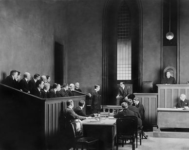 Expert witnesses play a critical role in legal proceedings by providing ...