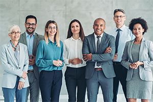 What is an Employment Litigation Expert?