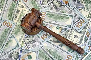 What is Expert Witness Designation Fee?